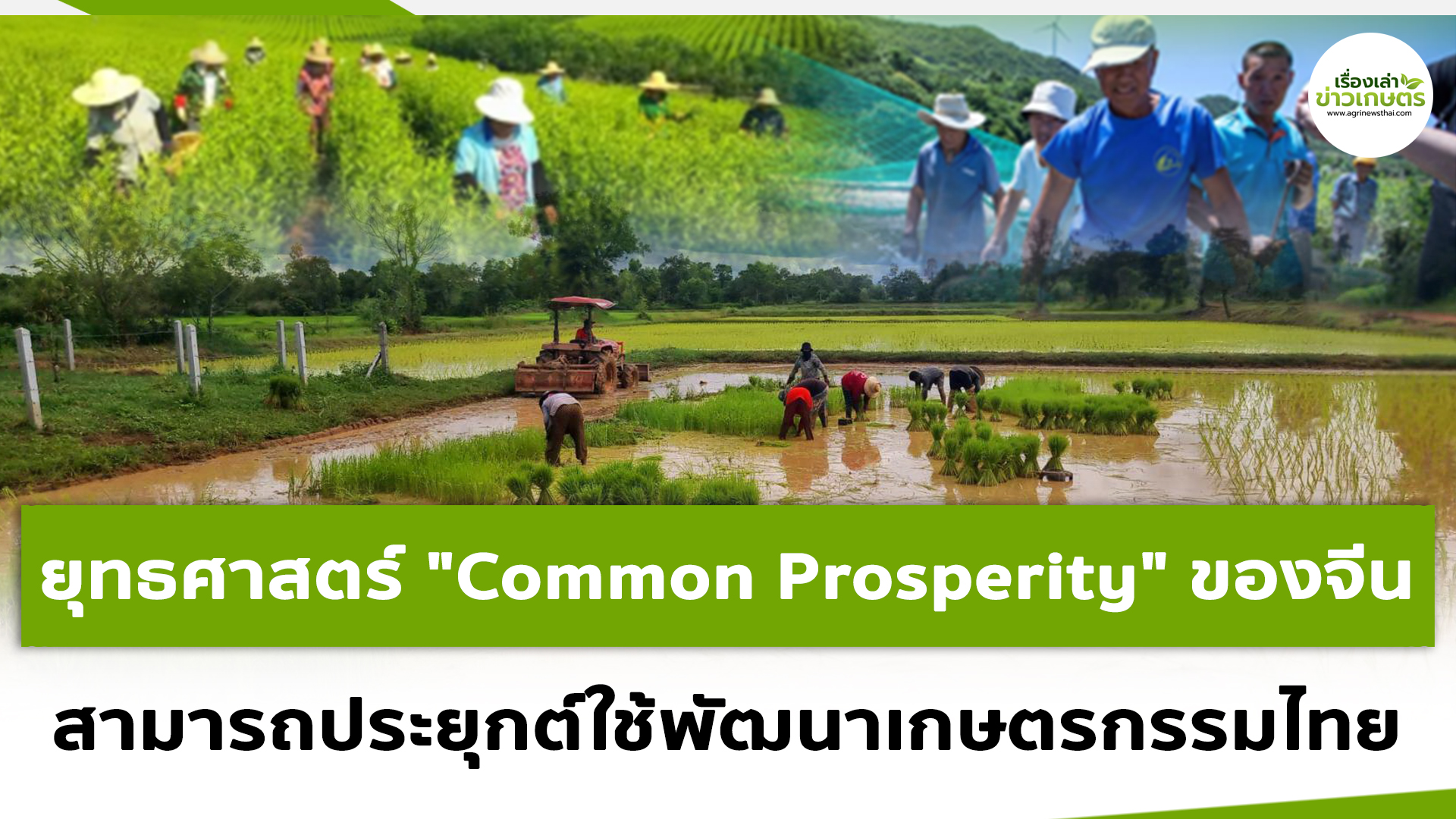 ยุทธศาสตร์“Common Prosperity”ของจีน อีกโมเดล นำมาประยุกต์ใช้กับภาค ...