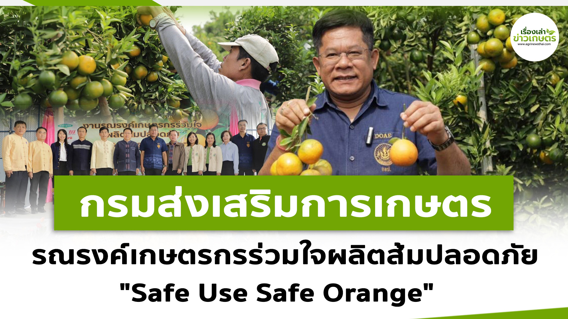 กรมส่งเสริมการเกษตร รณรงค์เกษตรกรร่วมใจผลิตส้มปลอดภัย “Safe Use Safe ...