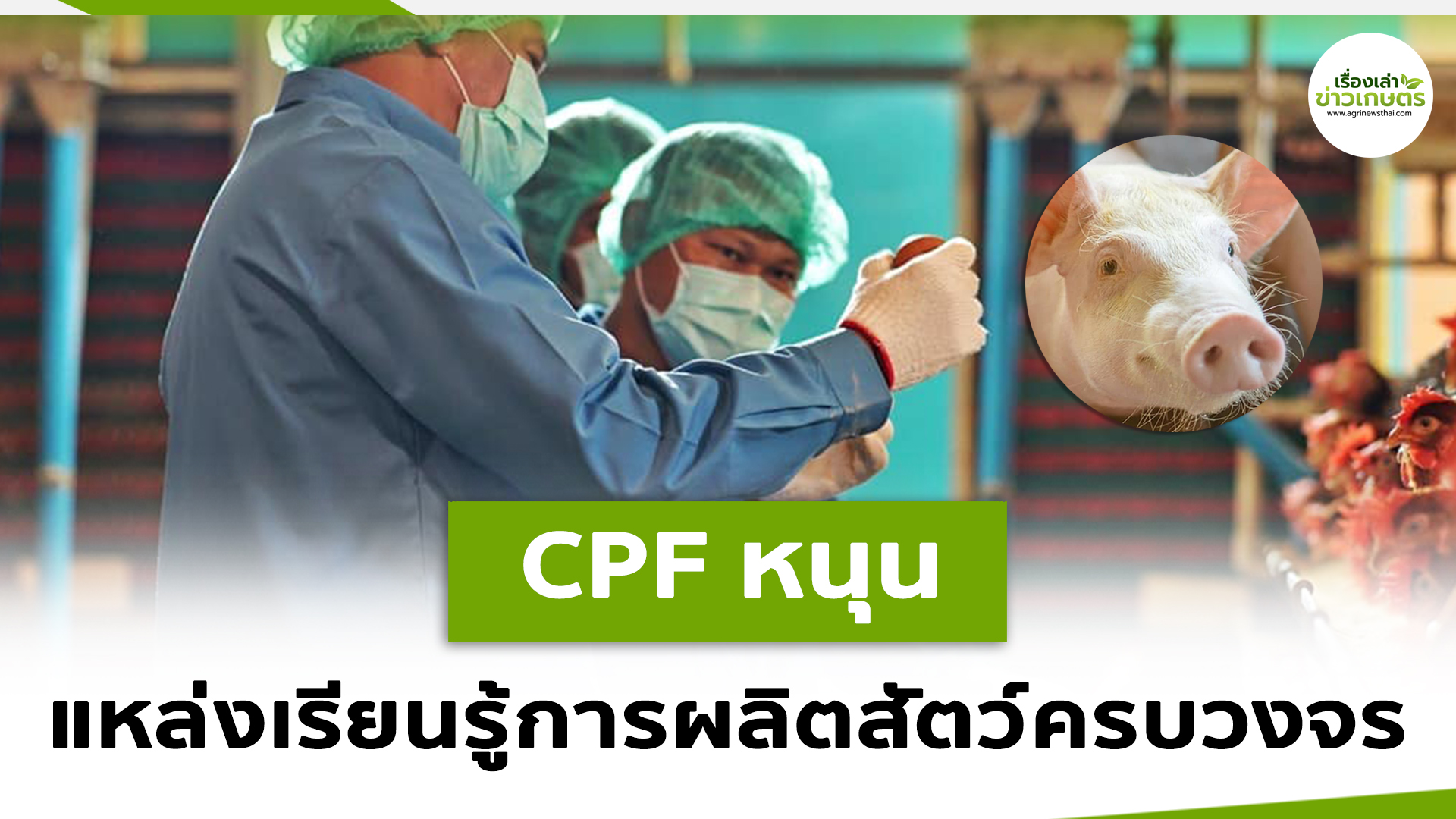 CPF ส่งมอบ"ฟาร์มสาธิตเลี้ยงหมู-ไก่ไข่ (Green Farm)"แก่ ม.วลัยลักษณ์ ...