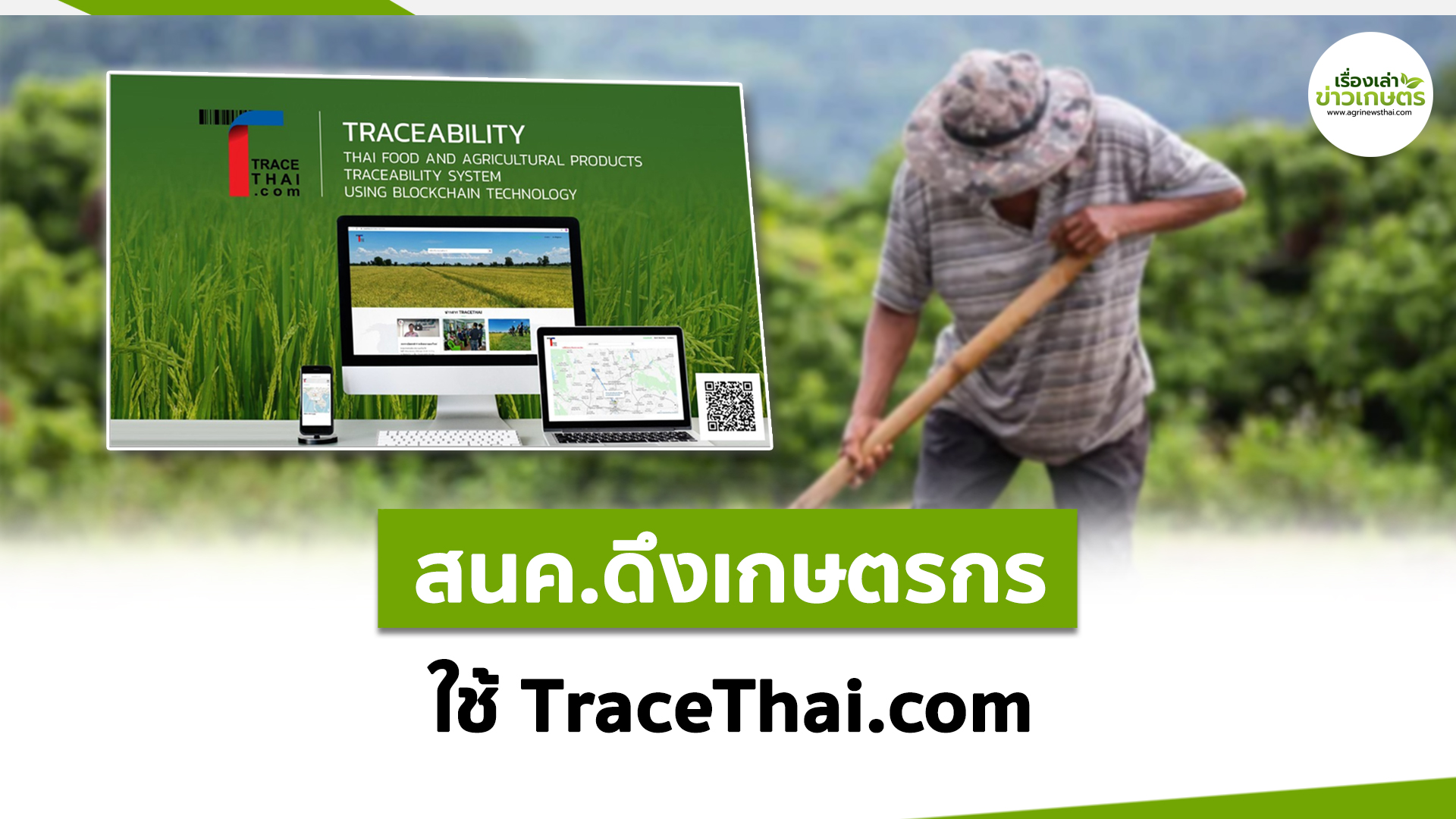 สนค.ดึงเกษตรกร ใช้ TraceThai.com ตรวจสอบย้อนกลับสินค้า » เรื่องเล่าข่าวเกษตร